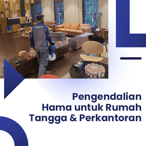 Pengendalian Hama untuk Rumah Tangga & Perkantoran - Pestindo Mandiri Utama